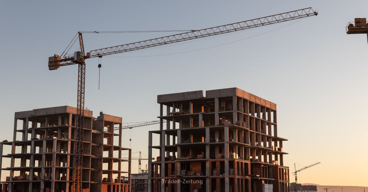 Steico Stands Firm in the Construction Crisis and Grows. Has the ...